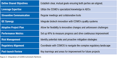 Driving Biotech Innovation Fast To Clinic And Fast To Market