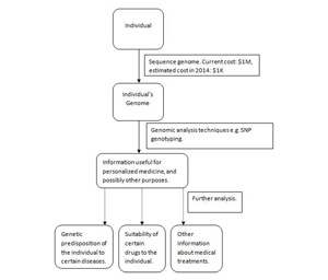 Personalized Medicine and Genomics | Drug Innovation