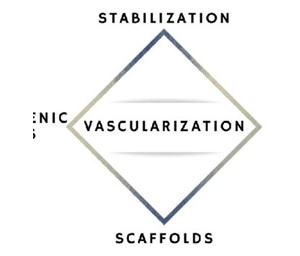 Advances in Regenerative Medicine: Stem Cells and Tissue Engineering