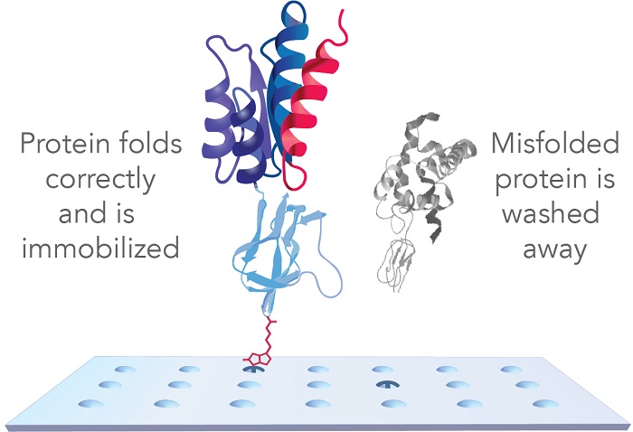 Future of vaccine development in America | KREX technology for vaccines