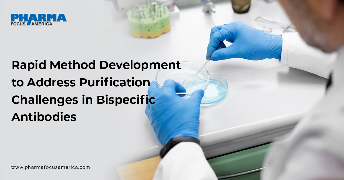 Rapid Method Development for Bispecific Antibody Purification