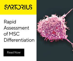 Key Challenges in Pharmaceutical Drug Manufacturing